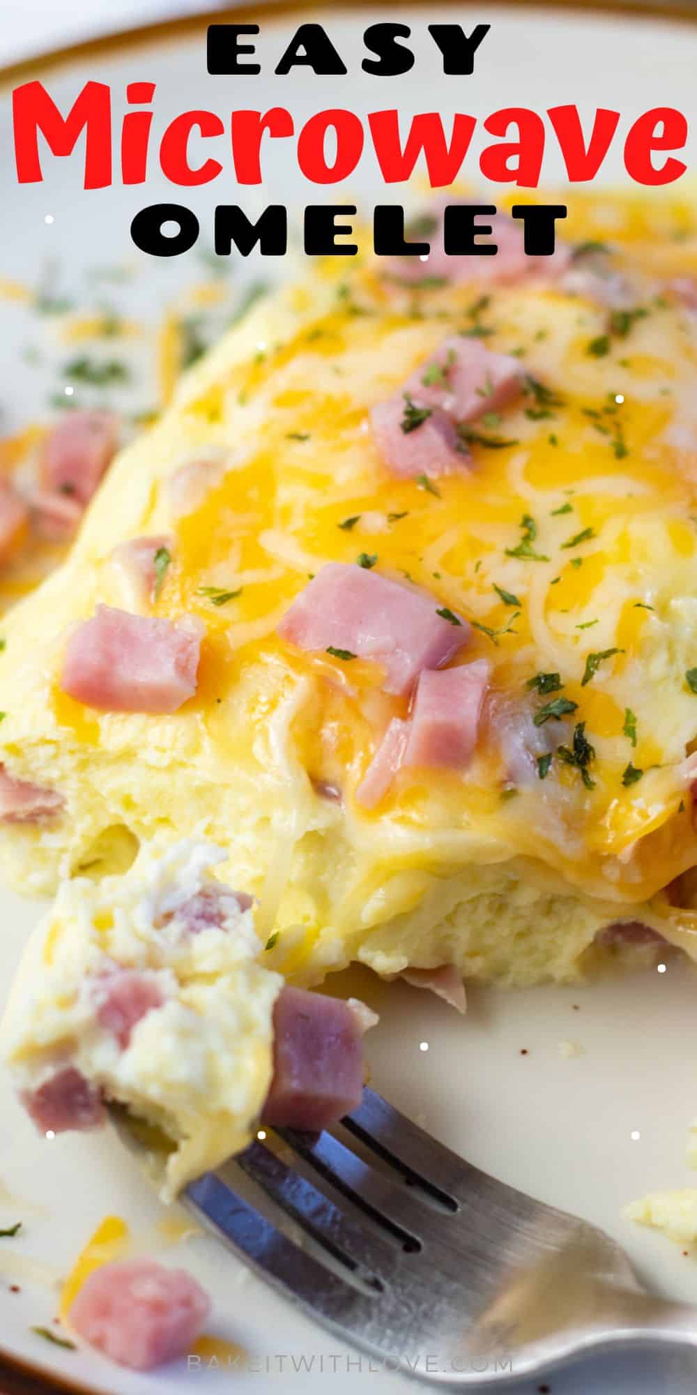 Microwave Omelet Easy Breakfast To Start Your Day